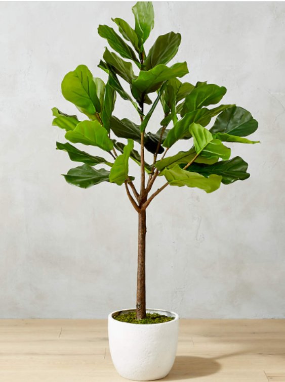 How to Tastefully Decorate with Fake Plants and Greenery - Calypso in ...